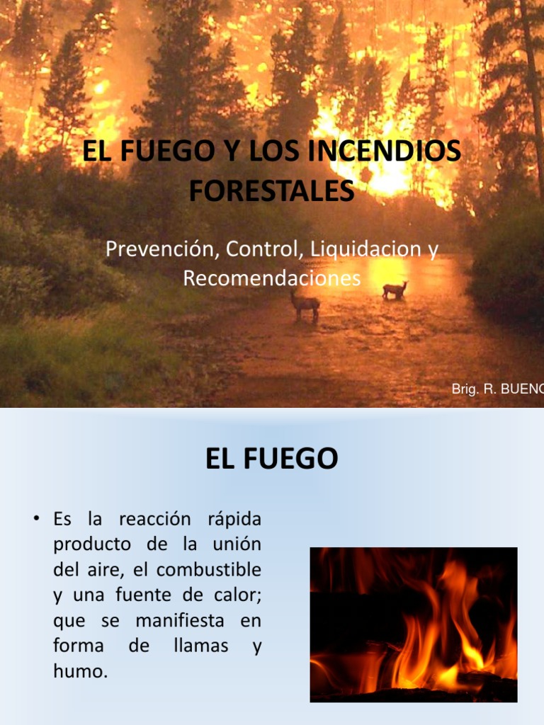 El Fuego y Los Incendios Forestales | PDF | Fuego fatuo | Oxígeno