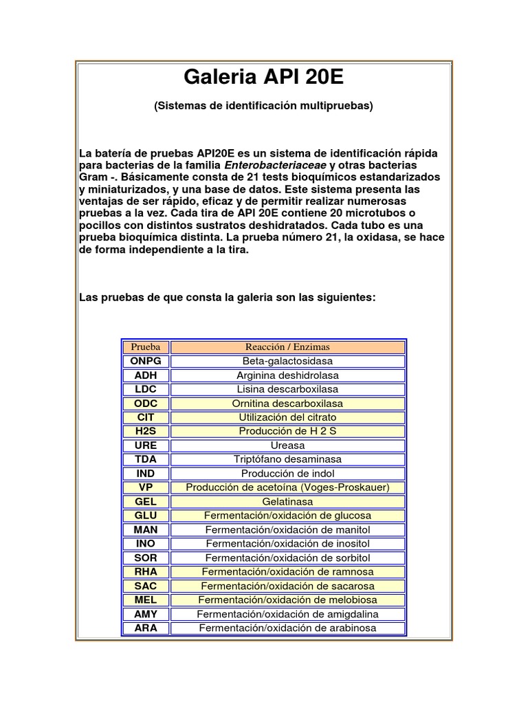 Galeria API 20E | PDF | Salmonela | Amarillo