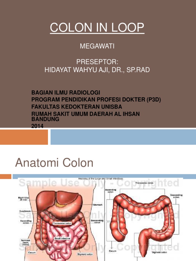 Colon in Loop | PDF