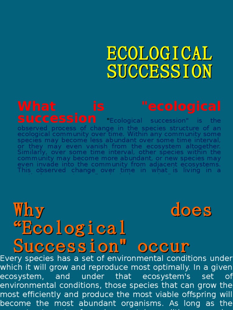 Understanding Ecological Succession | PDF | Ecology | Ecosystem