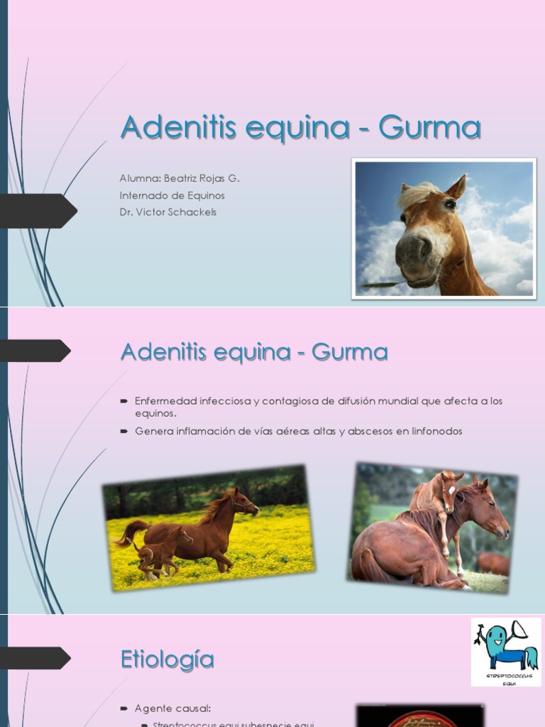 Adenitis Equina | PDF | Infección | Epidemiología