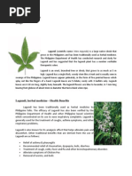 Bekimon Dictionary | PDF | Semiotics | Linguistics