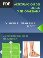 Tibia Presentacion | PDF | Anatomía humana | Anatomía del miembro inferior