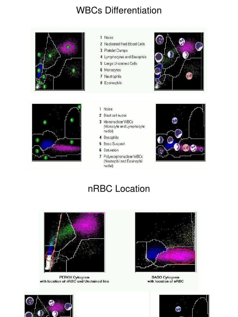 NRBC | PDF