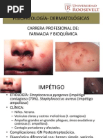CAPÍTULO 17 - Prurigo Por Insectos (Cimiciasis) | PDF | Insecticida ...