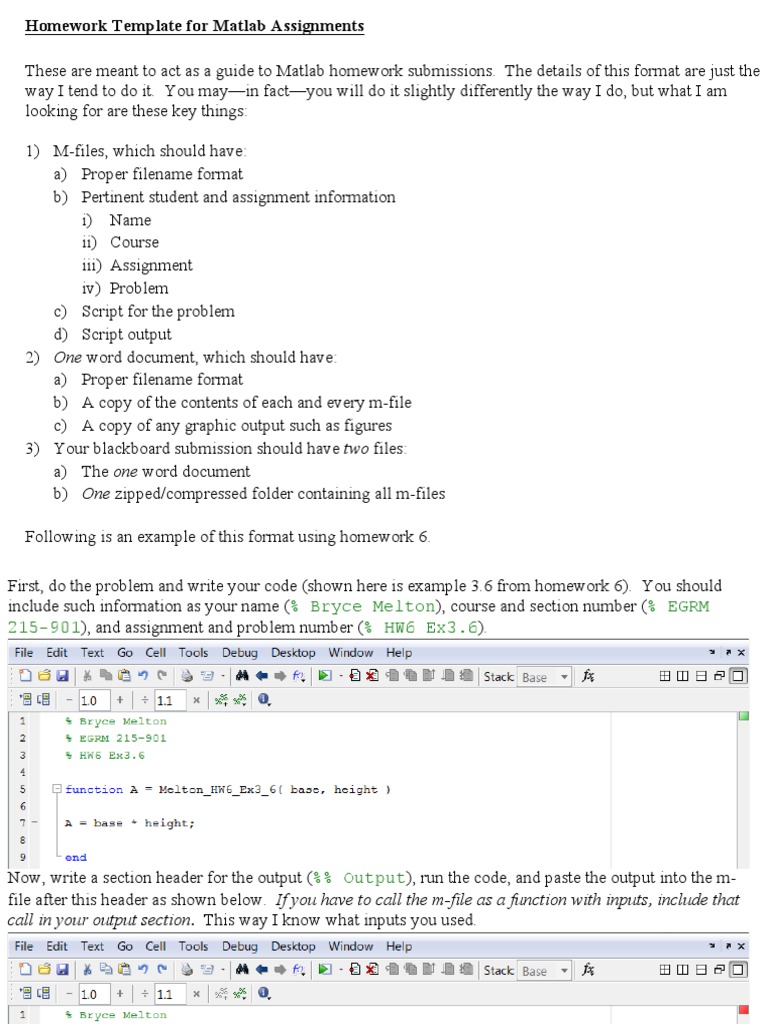 Template For Matlab Assignments | PDF | File Format | Matlab