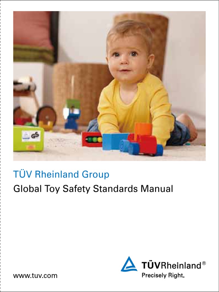 Global Toy Safety Standards Manual (TUV) PDF | PDF | Polyvinyl Chloride ...