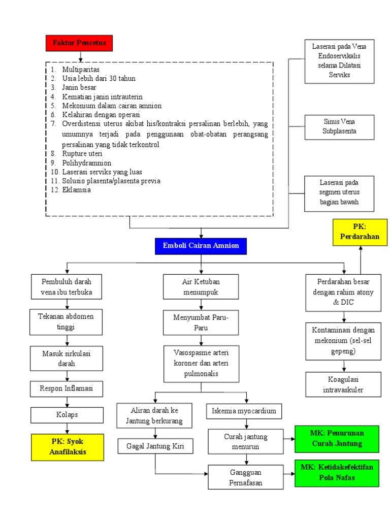 WOC Emboli Cairan Amnion | PDF | Kesehatan Holistik | Sains & Matematika