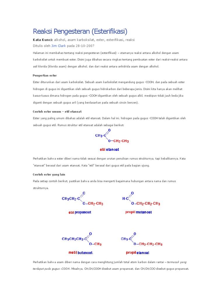 Reaksi Esterifikasi I | PDF