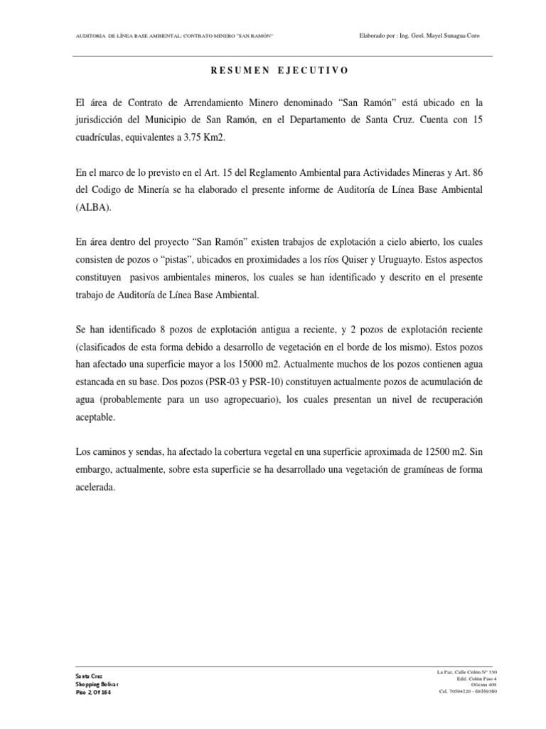 Informe ALBA San Ramon | PDF | Bolivia | Minería