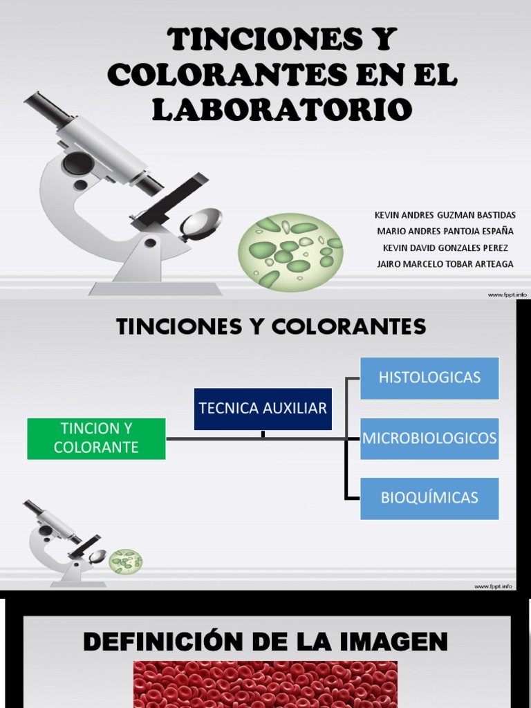 Tinciones y Colorantes en El Laboratorio Diapositiva | PDF