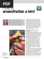 Kitty Magic | PDF | Anesthesia | Surgery