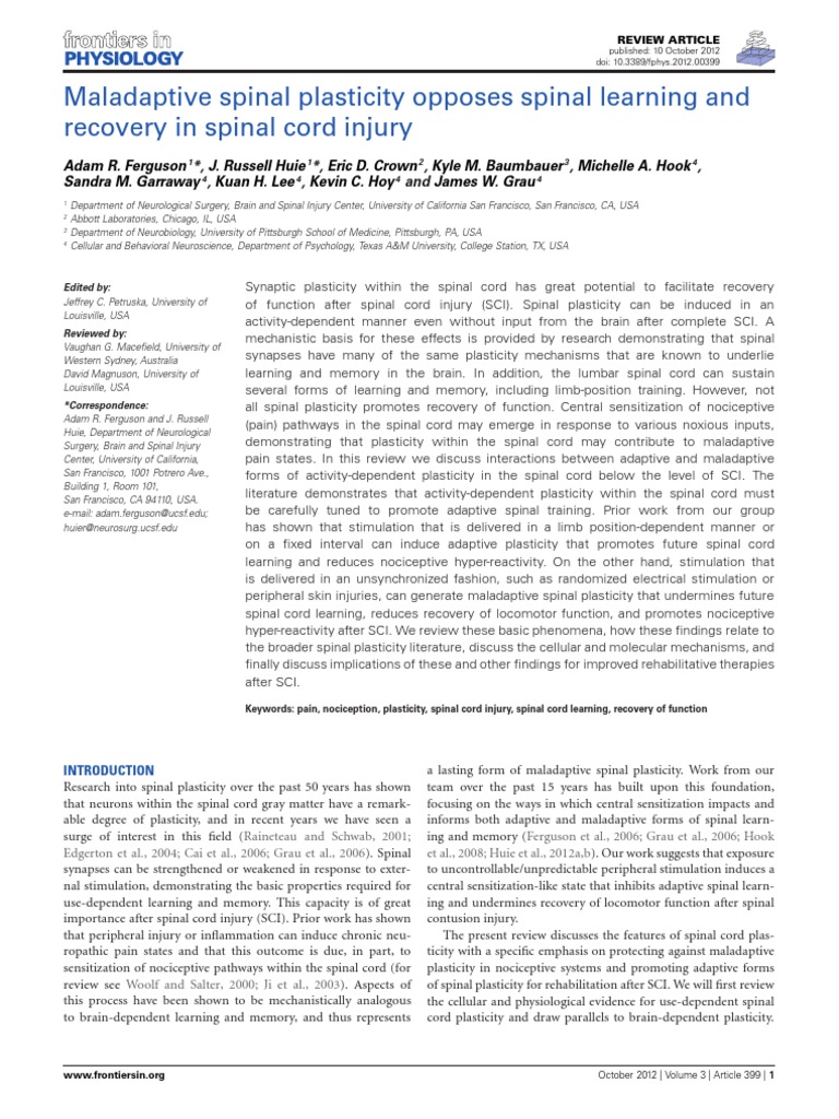 Maladaptive Plasticity | PDF | Long Term Potentiation | Synaptic Plasticity