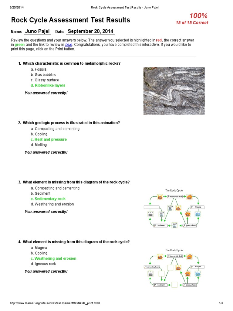 Rock Cycle Assessment Test Results | PDF | Rock (Geology) | Geology