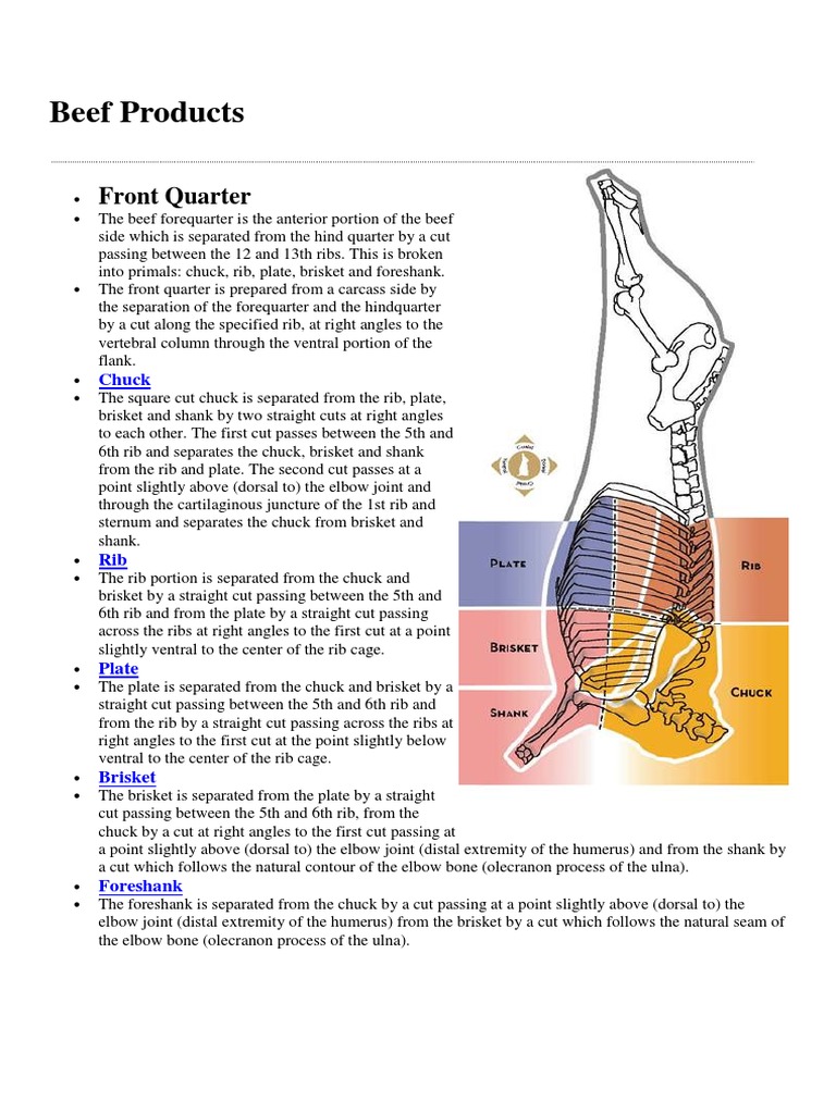 Beef Front Quarter Guide | PDF | Chuck Steak | Shoulder