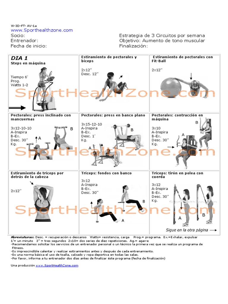 Tono Muscular | Tejido blando | Músculo