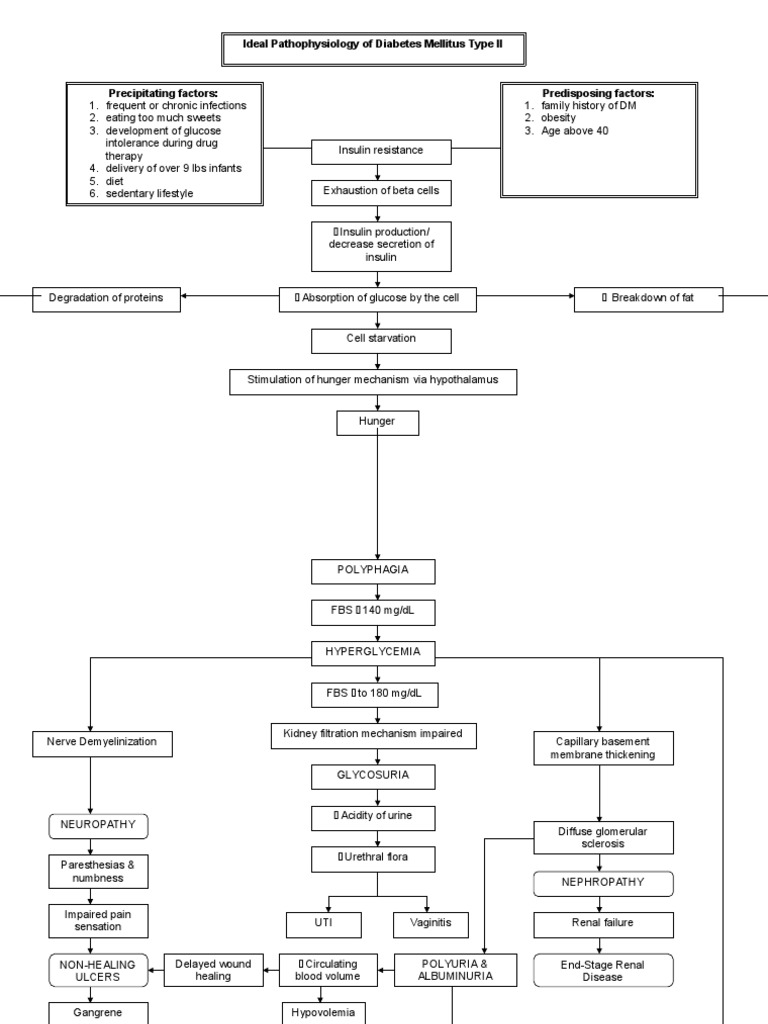 Type 2 Diabetes Mellitus Pathophysiology | PDF | Diabetes | Heart