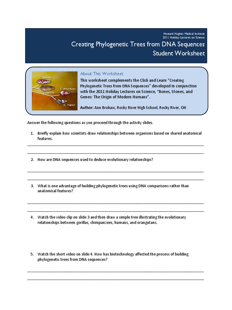 Phylogenetic Trees Click Learn Worksheet | PDF | Phylogenetic Tree ...