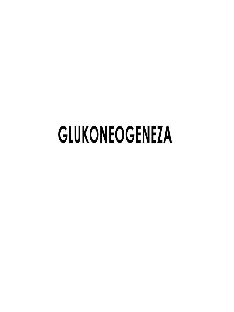 Glukoneogeneza | PDF