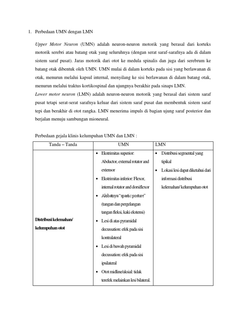 Umn Dan LMN | PDF | Seni | Pengembangan Diri