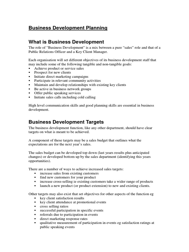 Business Development Plan | PDF | Business