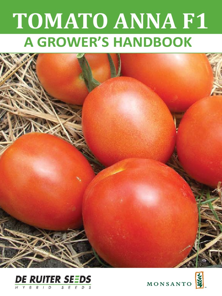 Tomato Anna f1 Growers Handbook | Fertilizer | Tomato