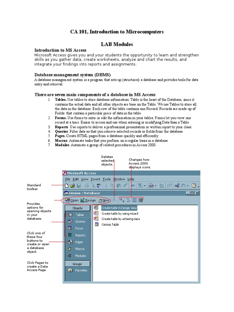Ca 101 Introduction To Microcomputers Lab Modules Pdf Microsoft Access Databases 1683