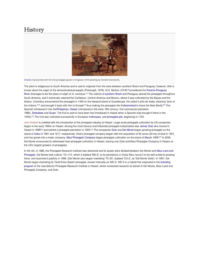 History of Pineapple | PDF | Pineapple | Edible Plants
