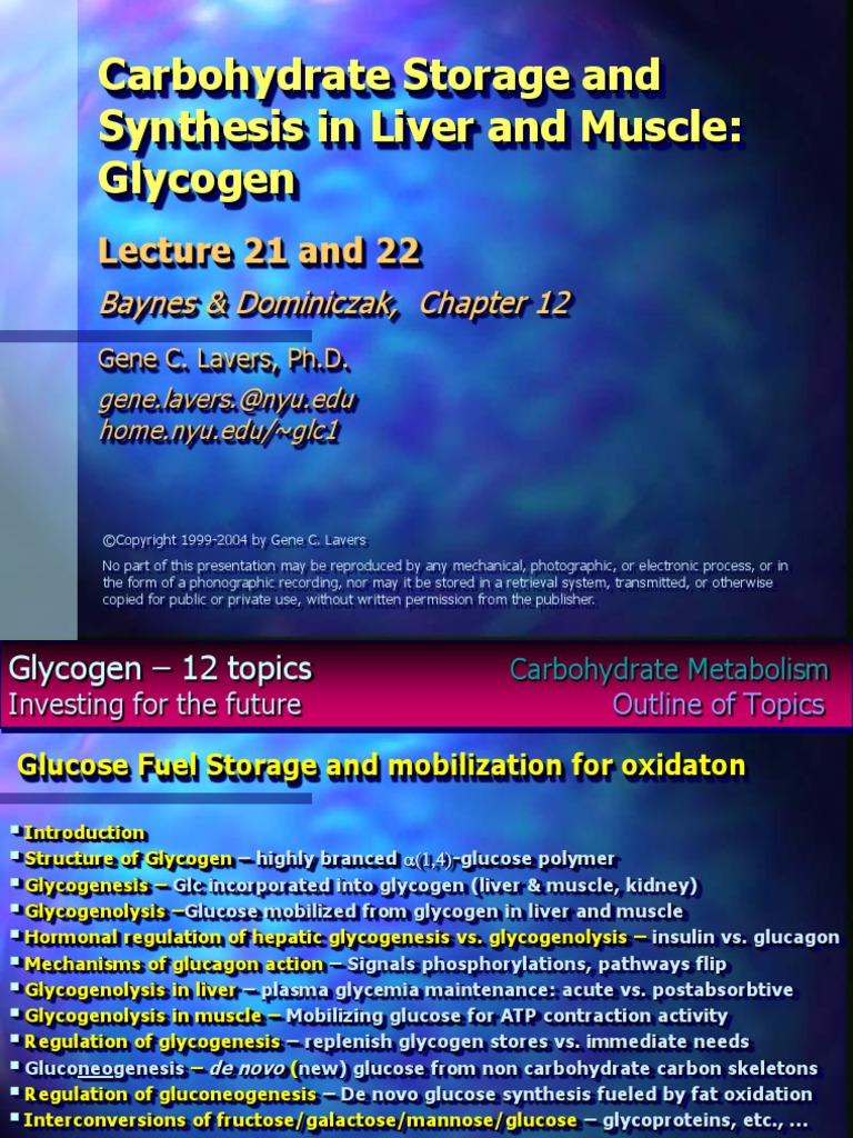 Carbohydrate Storage and Synthesis in Liver and Muscle: Glycogen | PDF ...