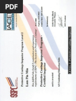 PPG - Pull-Off Test Report Format | PDF | Adhesive | Building Engineering