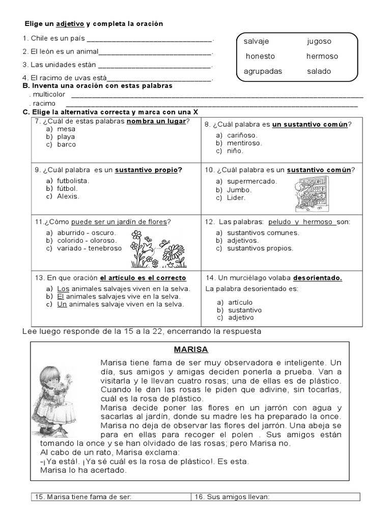 Ejercicios de Sustantivos y Adjetivos | PDF | Morfología Lingüística