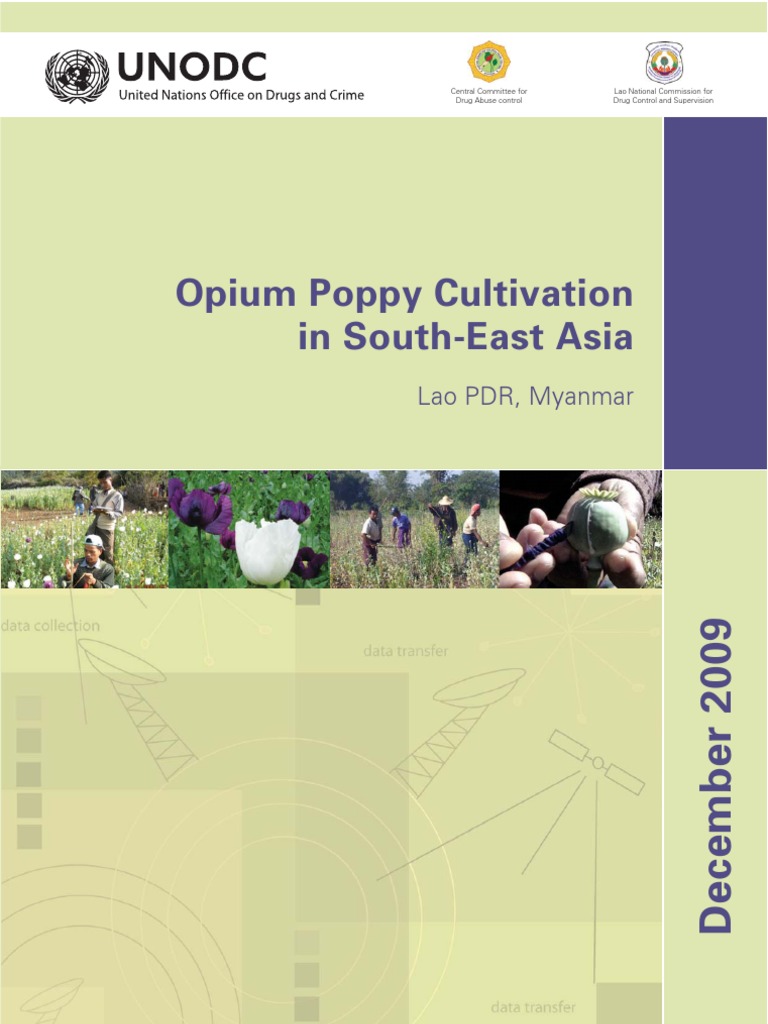 Unodc Report | PDF