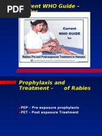 Rabies Vaccine and Rabies Immune Globulin Fact Sheet PDF | PDF ...