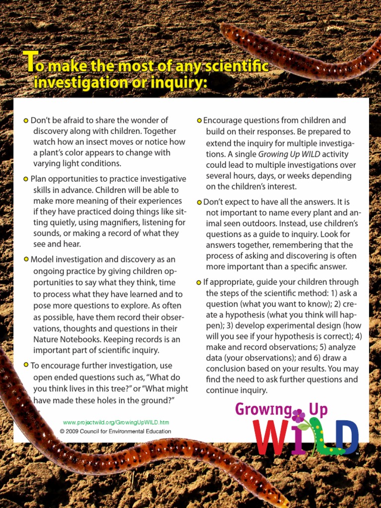 Engaging Children in Scientific Inquiry | PDF