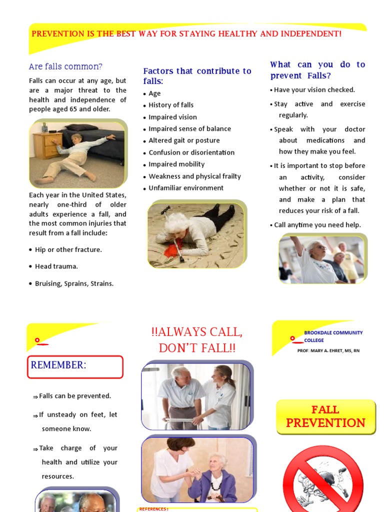Fall Prevention for Older Adults | PDF