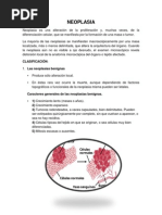 Células Lábiles | PDF | Relaciones personales, crianza y desarrollo ...