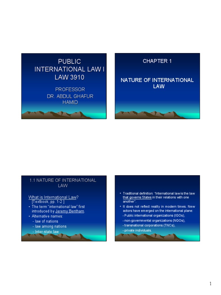 Nature of International Law Explained | PDF | Public International Law ...