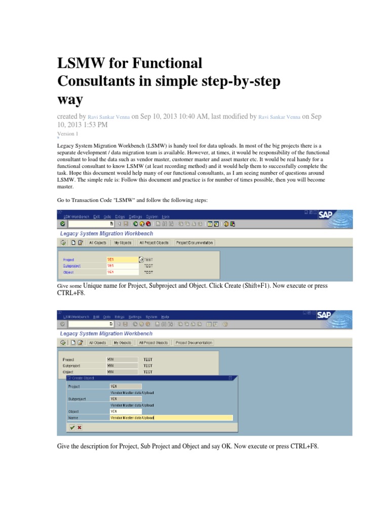 LSMW For Functional Consultants in Simple Step-By-step Way | PDF | Computer Programming ...