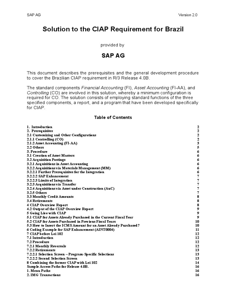 Solution To The CIAP Requirement For Brazil: Sap Ag | PDF