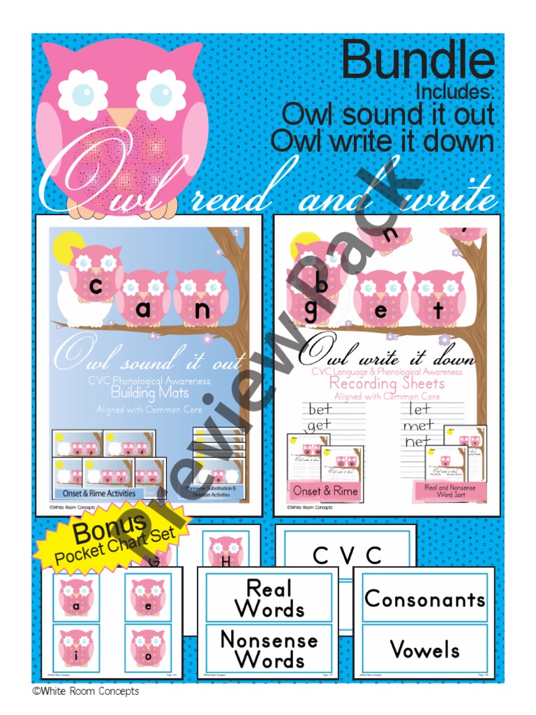 Owl Readand Write CVCLanguage Phonological Awareness Preview Common ...