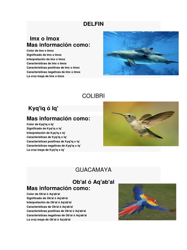 Animales en Mam | PDF