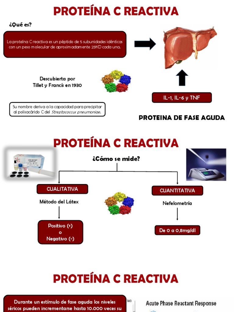 Proteina C Reactiva | PDF | Proteína C-reactiva | Inflamación