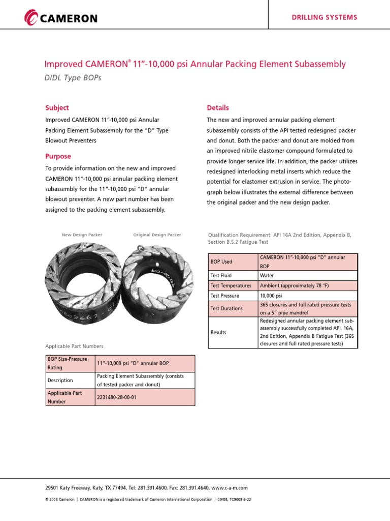 Cameron DL Packer Assembly 11in - TC9609 - E-22 | PDF