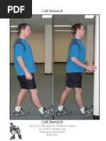 Alfredson Protocol - Achille's Tendonitis | PDF | Pain | Clinical Medicine