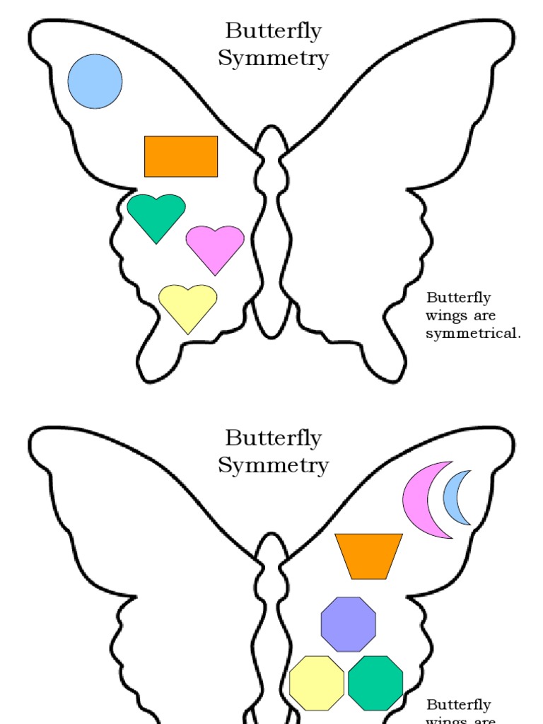 Butterfly Symmetry Activity