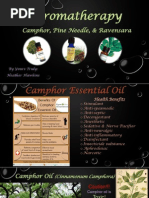 Safeda Tree Description Lavish Sharma | PDF