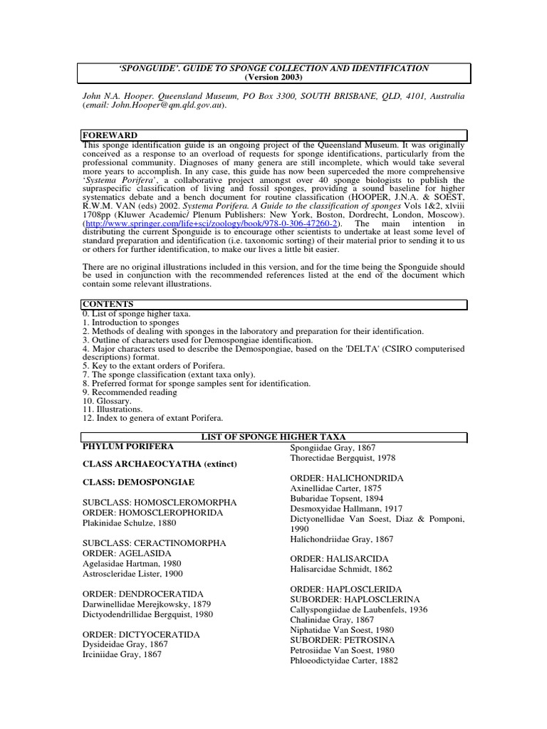 Spons | PDF | Sponge | Skeleton