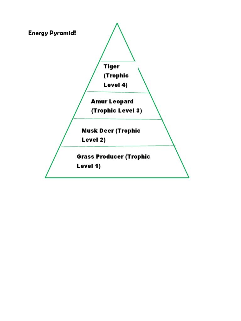 Energy Pyramid | PDF