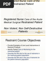 Restraint Checklist | PDF