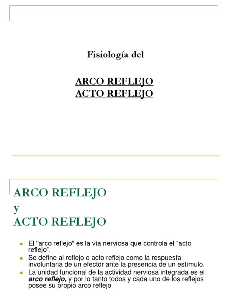 9- Fisiologia Arco-Acto Reflejo | Neurona | Sistema nervioso